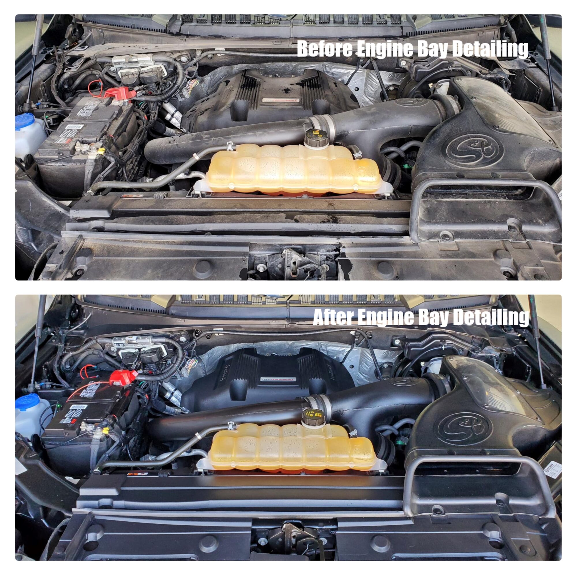 DETAILING SERVICES | PAINT CORRECTION ... AND MORE! | RENEGADE CUSTOMS